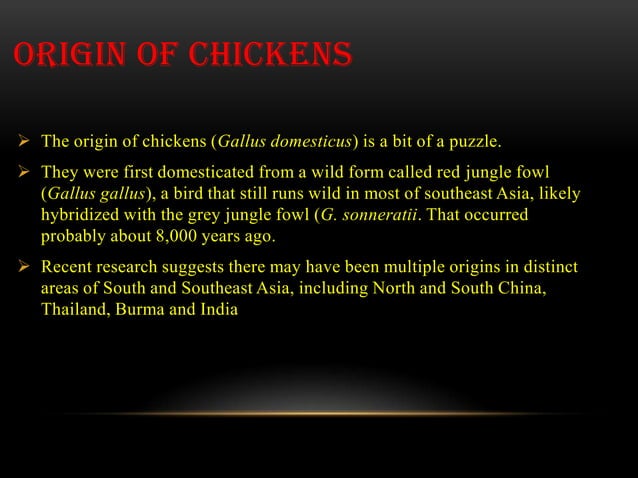 Chicken presentation | PPTX