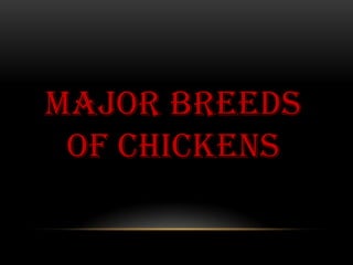 Chicken presentation | PPTX