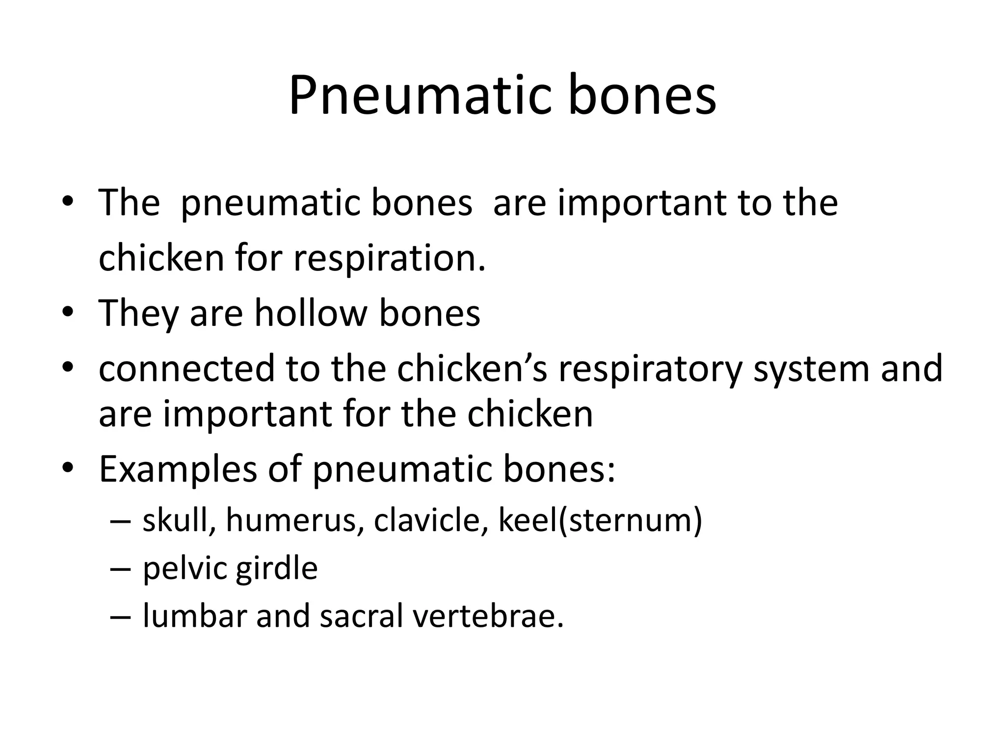 Chicken skull and sternum | PPTX