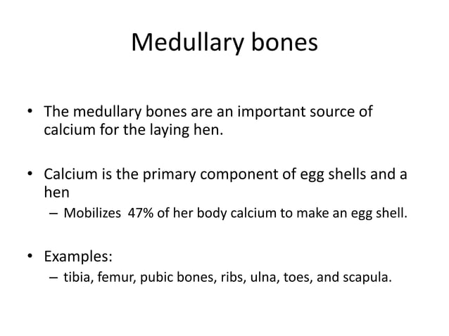 Chicken skull and sternum | PPTX