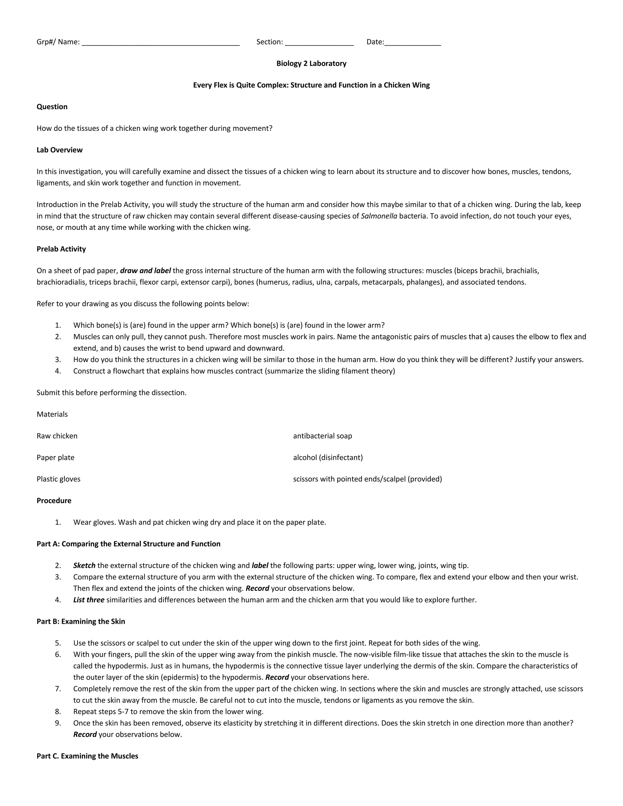 Chicken Wing Dissection | DOCX