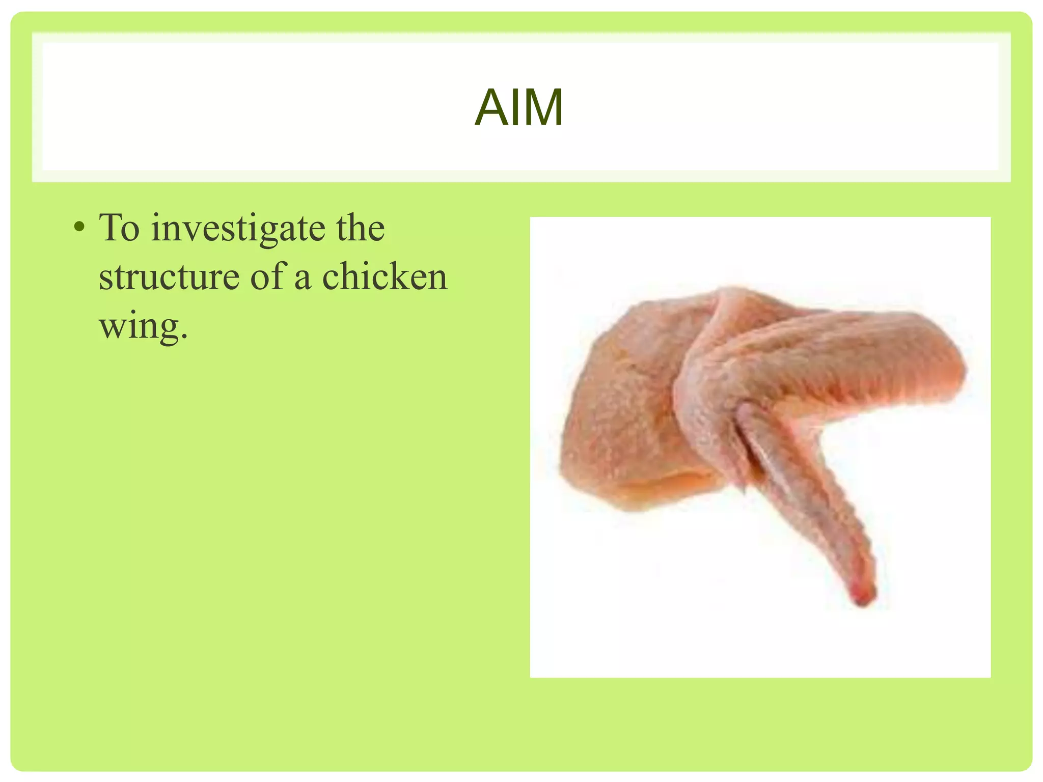 Chickenwingdissection | PPTX