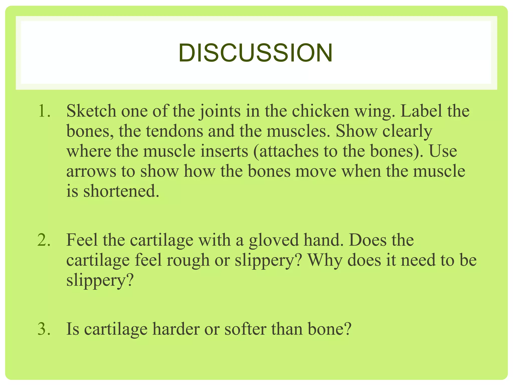 Chickenwingdissection | PPTX