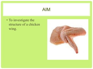 Chickenwingdissection | PPTX