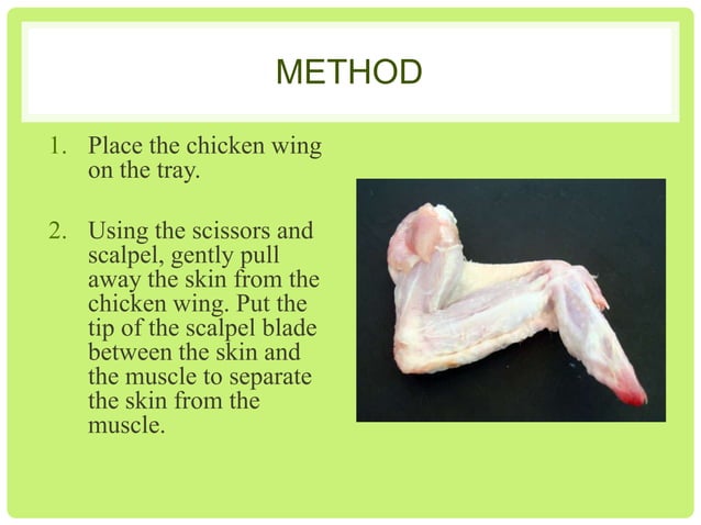 Chickenwingdissection | PPTX