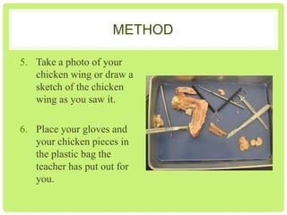 Chickenwingdissection | PPTX