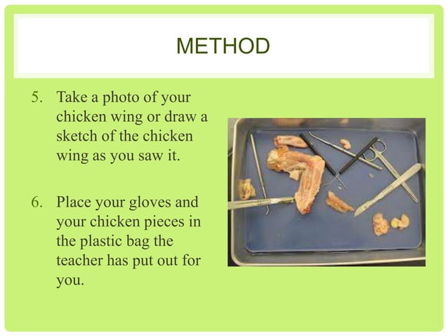 Chickenwingdissection | PPTX