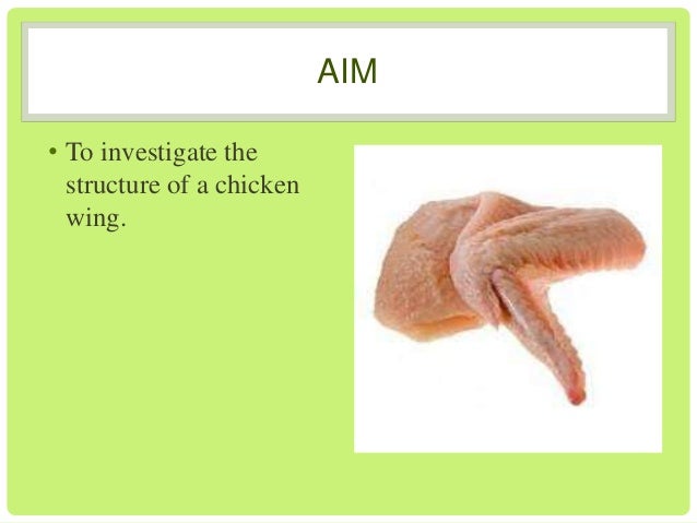 Chickenwingdissection