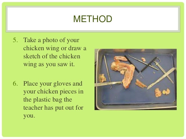 Chickenwingdissection