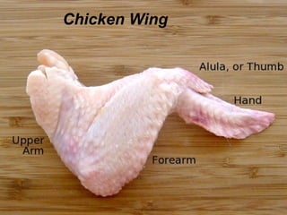 Chicken wing dissection | PPT
