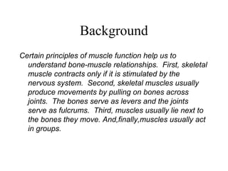 Chicken wing prac hands 0n | PPT