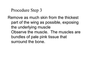 Chicken wing prac hands 0n | PPT | Death, Injury, or Military Conflict ...