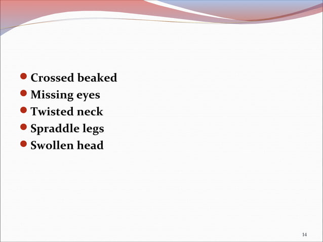 Chick Grading And Sexing Ppt