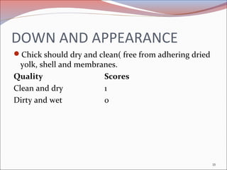 Chick grading and sexing | PPT