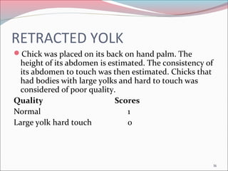 Chick grading and sexing | PPT