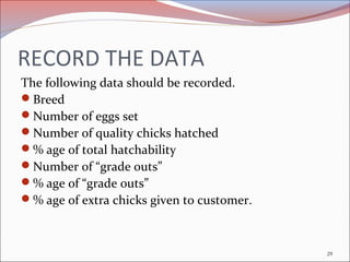 Chick grading and sexing | PPT