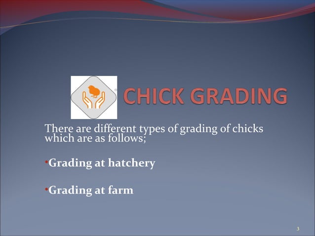 Chick grading and sexing | PPT