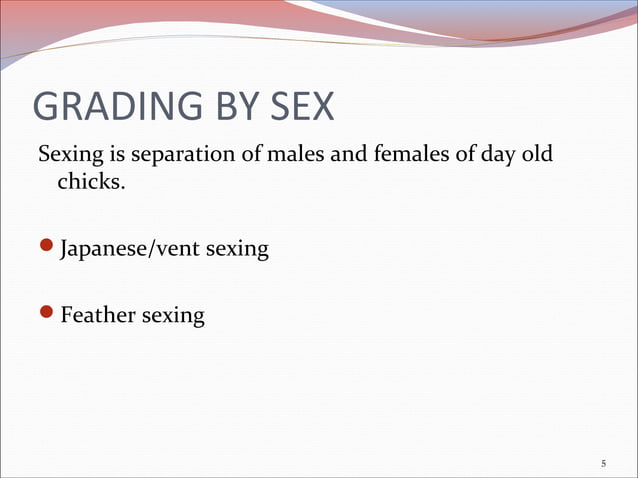 Chick grading and sexing | PPT