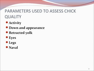 Chick grading and sexing | PPT