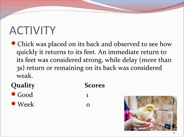 Chick grading and sexing | PPT