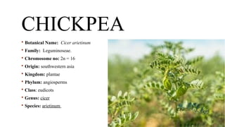 Scientific Cultivation of Chickpea Crop Cicer arietinum | PPT