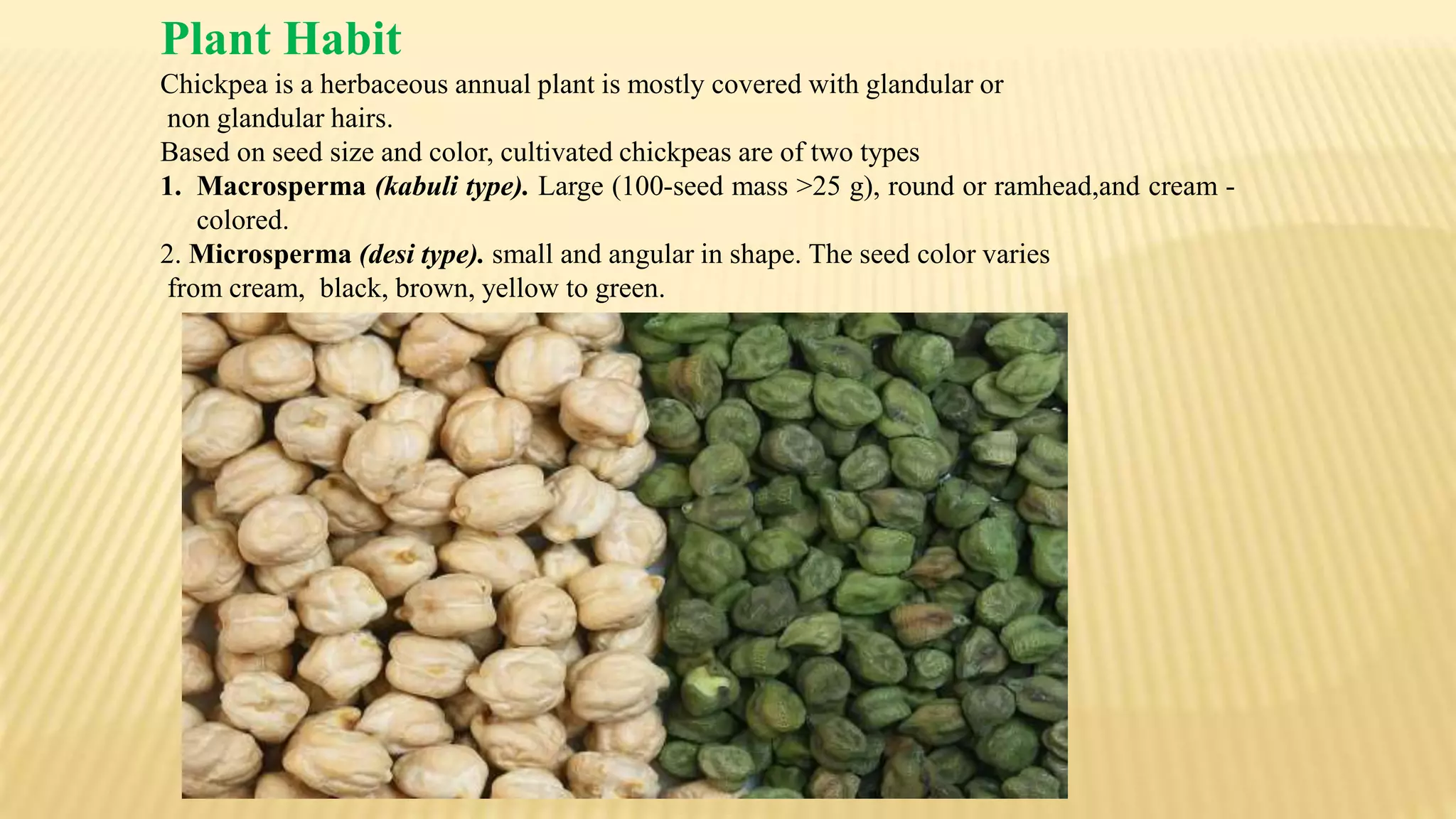 Chickpea | PPTX