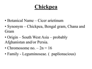 Chickpea | PPTX