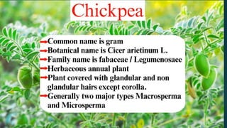 Chickpea..pptx