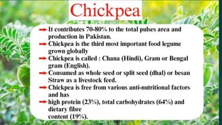 Chickpea..pptx