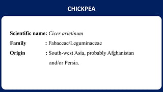 Chickpea hostyhwbqjsjsjisjshsiissjjjsjjw | PPTX | Agriculture | Industries