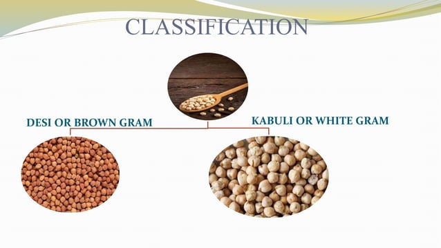 CHICKPEA , classification and production.pptx | Agriculture | Industries
