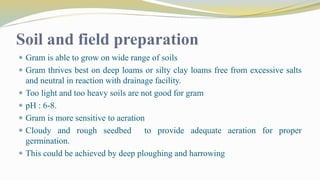 CHICKPEA , classification and production.pptx
