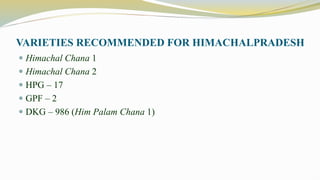 CHICKPEA , classification and production.pptx