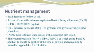 CHICKPEA , classification and production.pptx