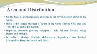 CHICKPEA , classification and production.pptx