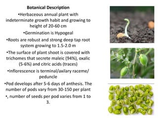 chickpea and its all details with climatic requirement .pptx