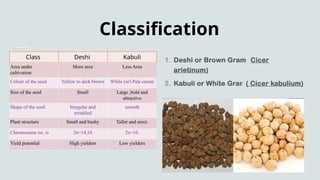 CHICKPEA AGRO-5221 crop production technology | PPTX