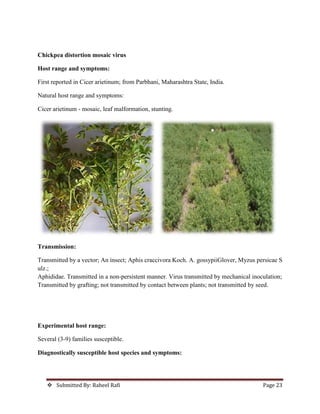 Chickpea diseases | PDF