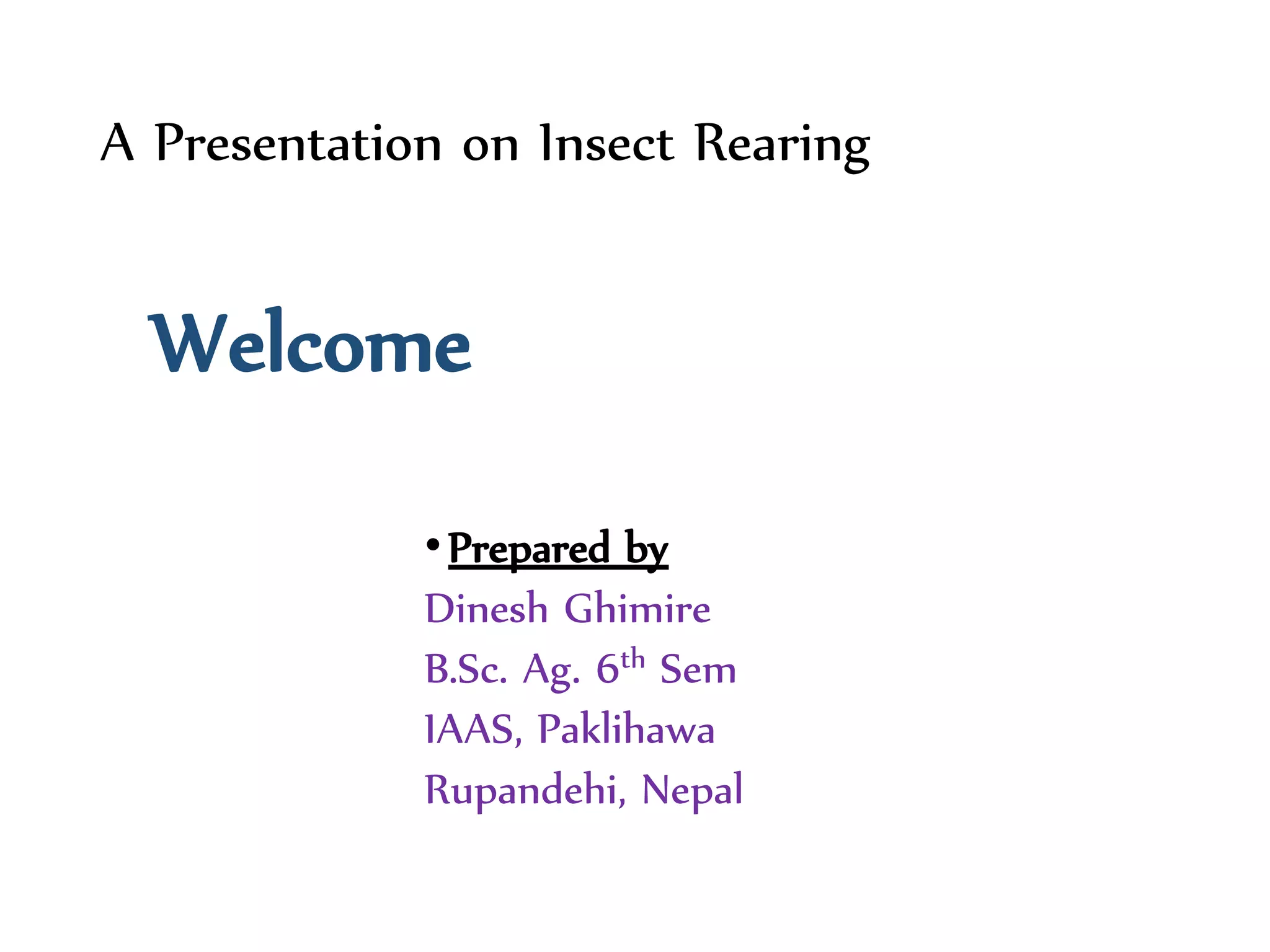 Rearing of Chick pea pod borer from larval stage | PPTX