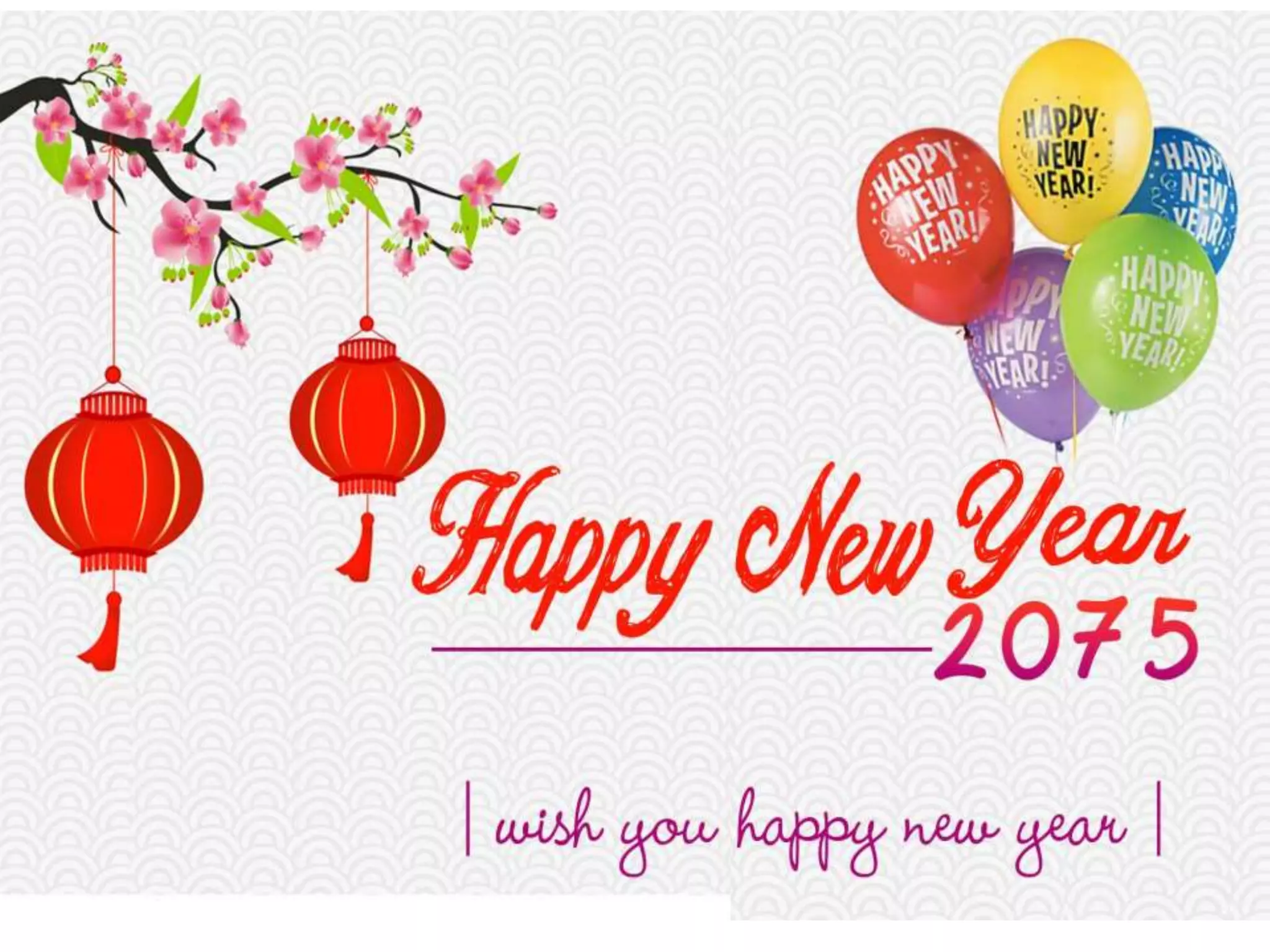 Rearing of Chick pea pod borer from larval stage | PPTX