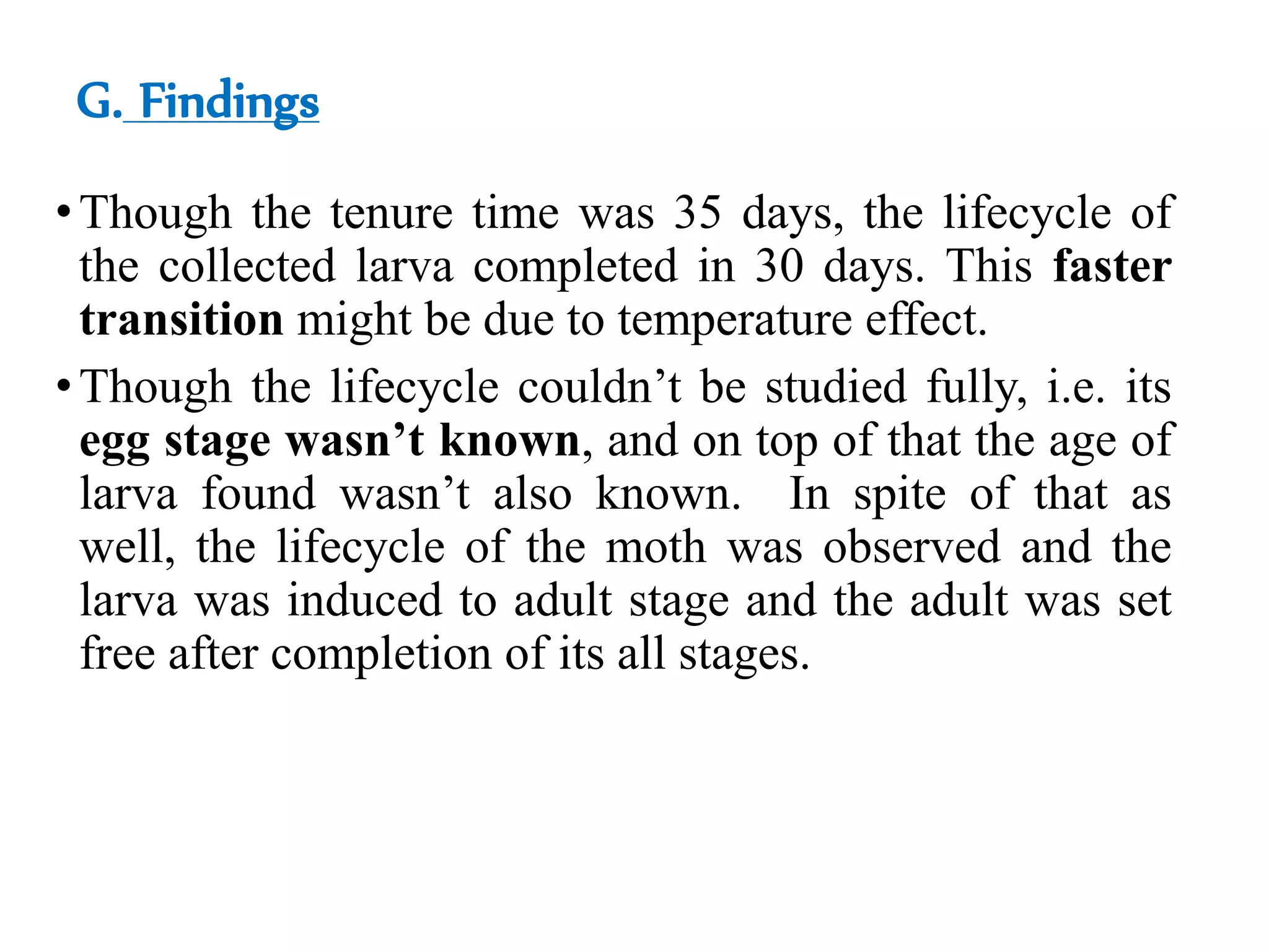 Rearing of Chick pea pod borer from larval stage | PPTX