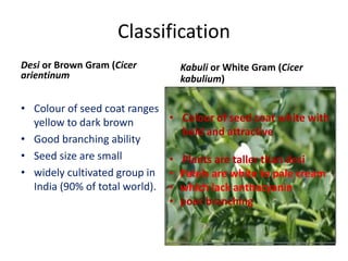 presentation on chickpea | PPTX