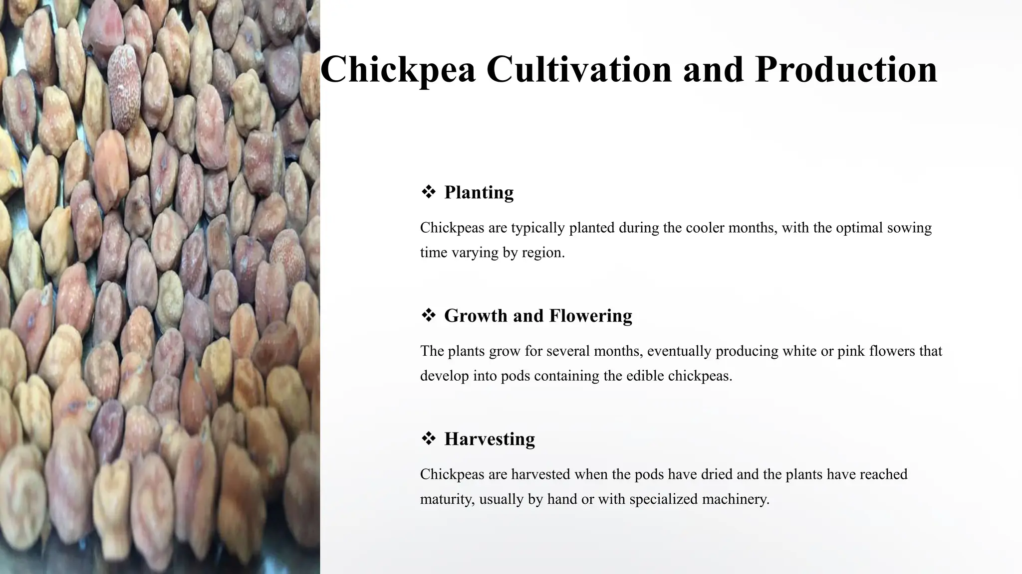 cultivation practices for chickpea cultivation | PPTX