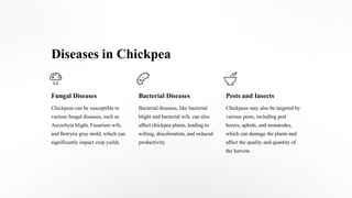 cultivation practices for chickpea cultivation | PPTX