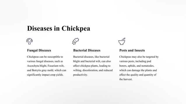 cultivation practices for chickpea cultivation | PPTX | Agriculture | Industries