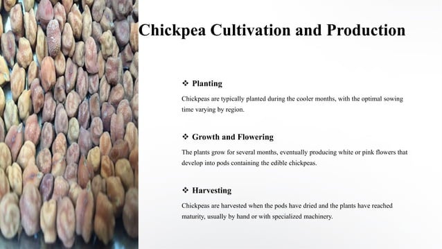 cultivation practices for chickpea cultivation | PPTX | Agriculture ...