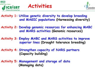 TLI 2012: Chickpea research workplan | PDF