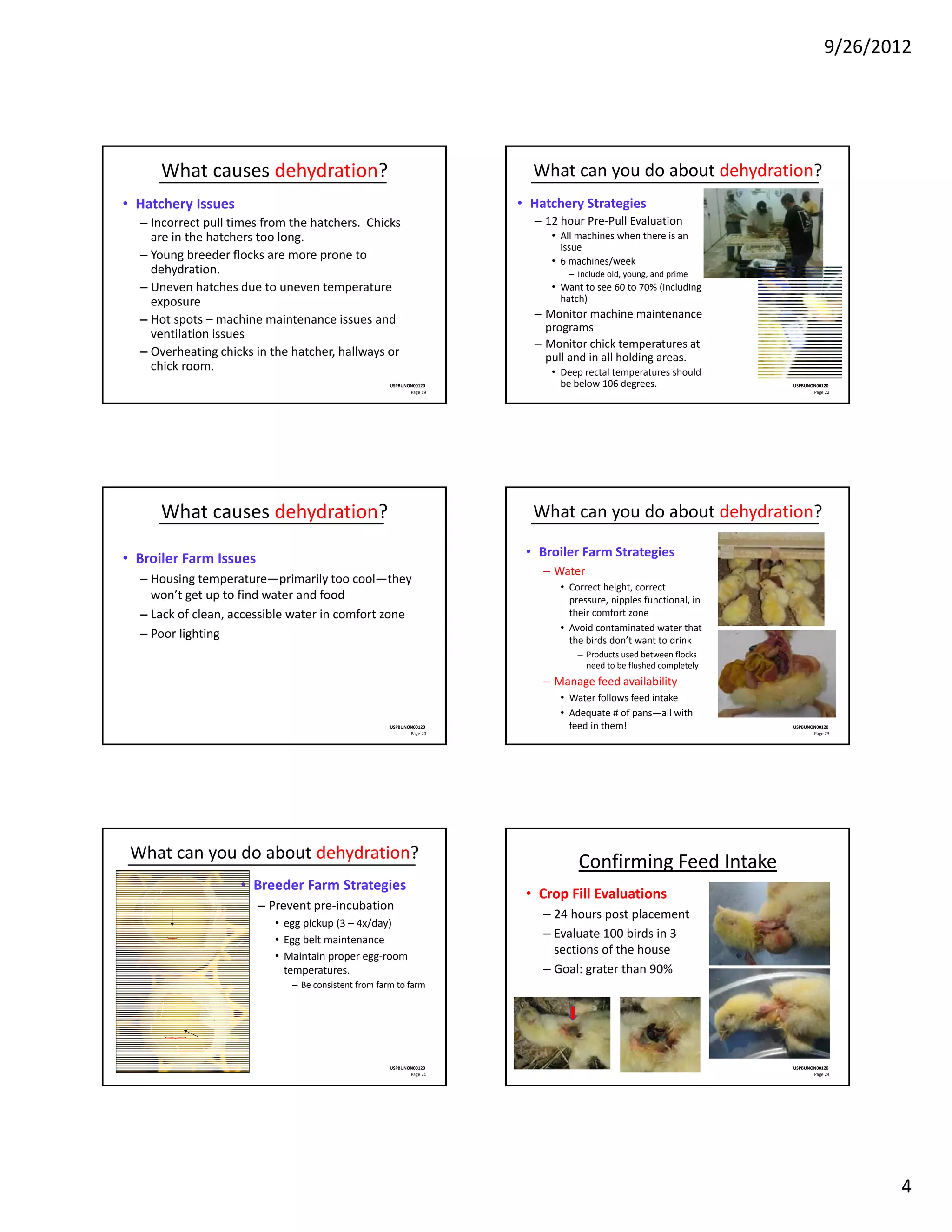 Chick quality and firstweek mortality | PDF