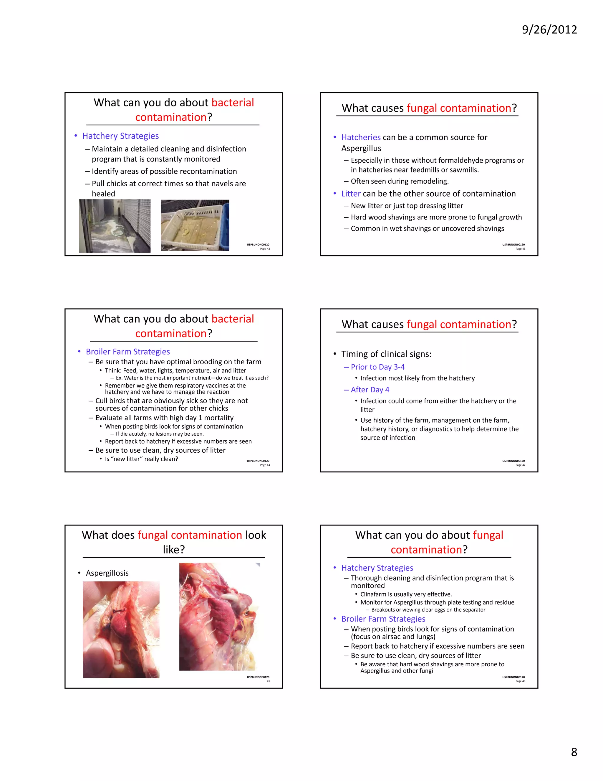 Chick quality and firstweek mortality | PDF
