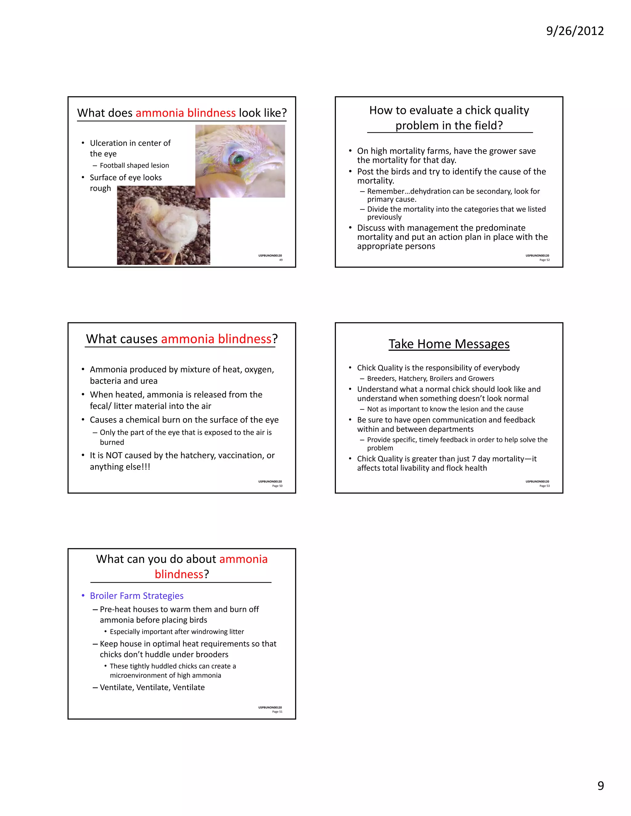 Chick quality and firstweek mortality | PDF